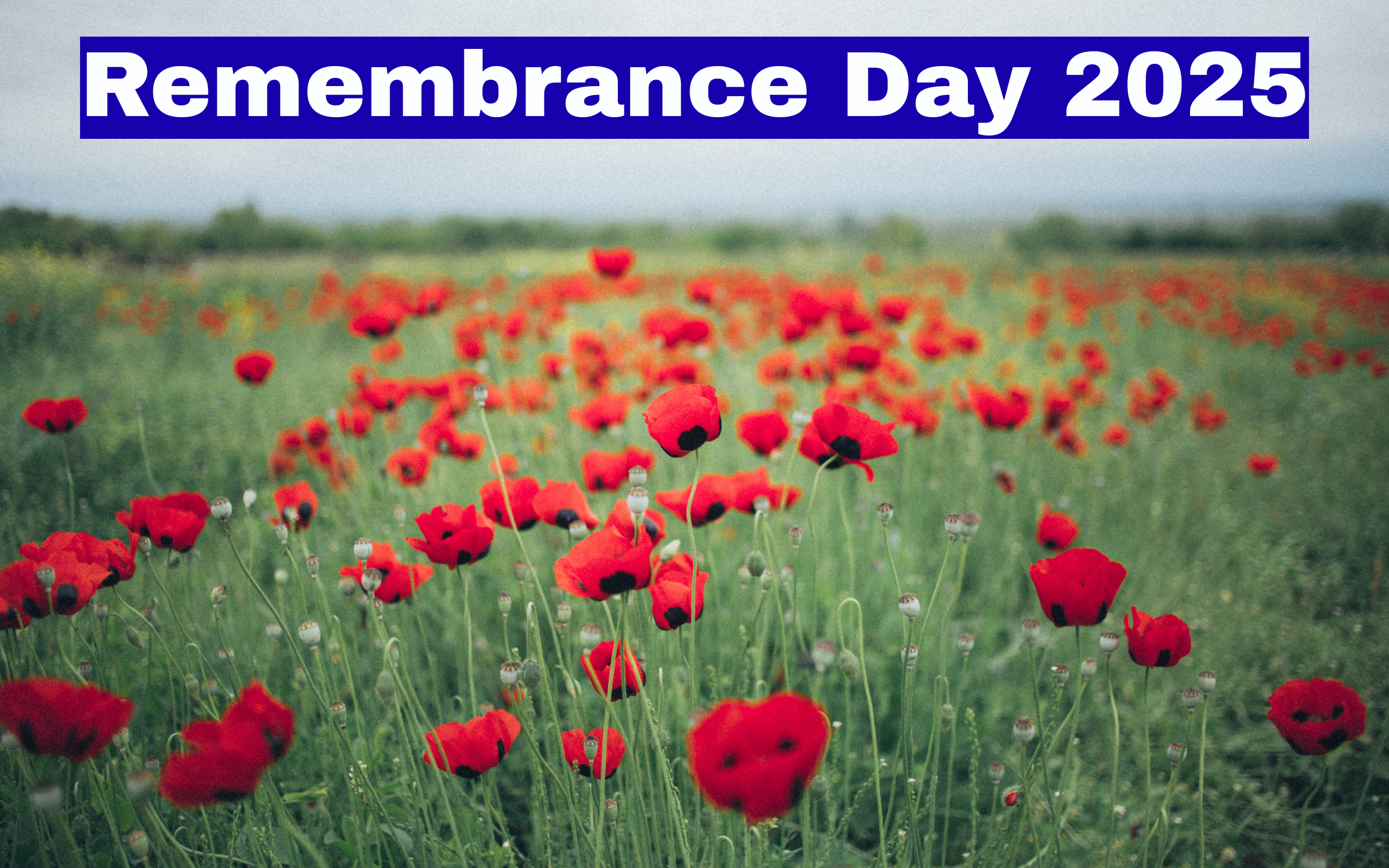Remembrance Day 2025: Honoring the Fallen: Why Remembrance Day Remains ...